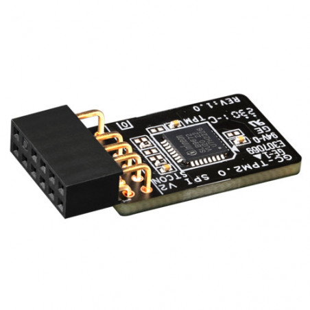 50,90 € | Gigabyte GC-TPM 2.0 SPI V2