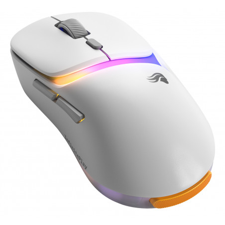157,90 € | Glorious Gaming Model D3 Wireless hiiri Pelaaminen Oikea...